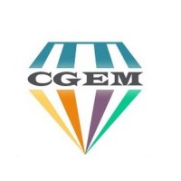 Why CGEM? – CGEM: Critics Groups for Equality in Media